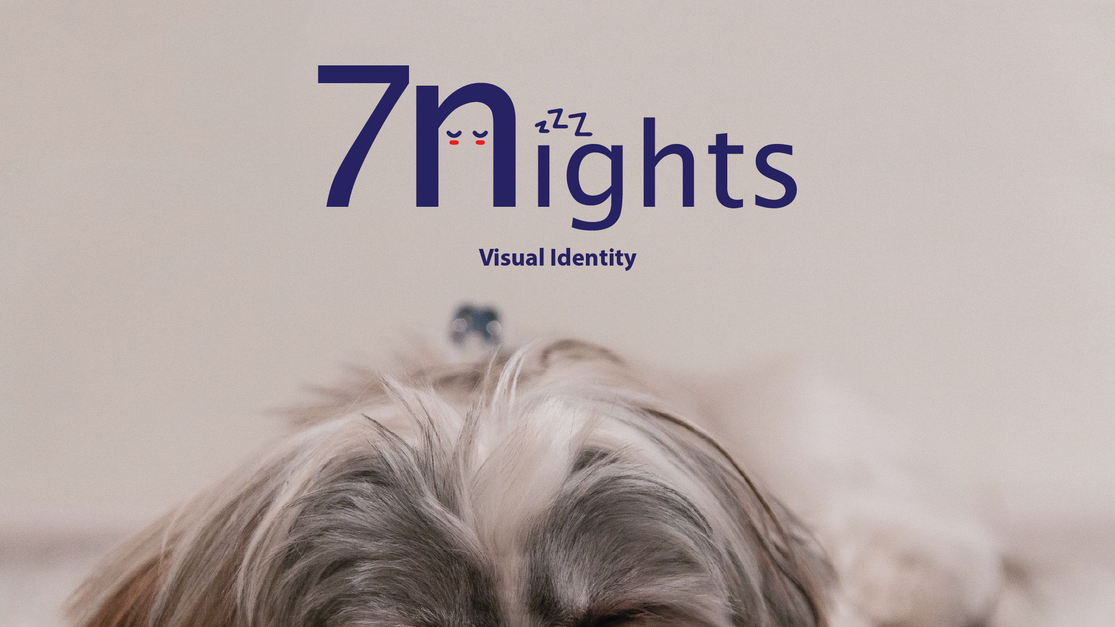 7Nights (Branding) – Lian Chen – UX/UI Designer | Graphic Designer